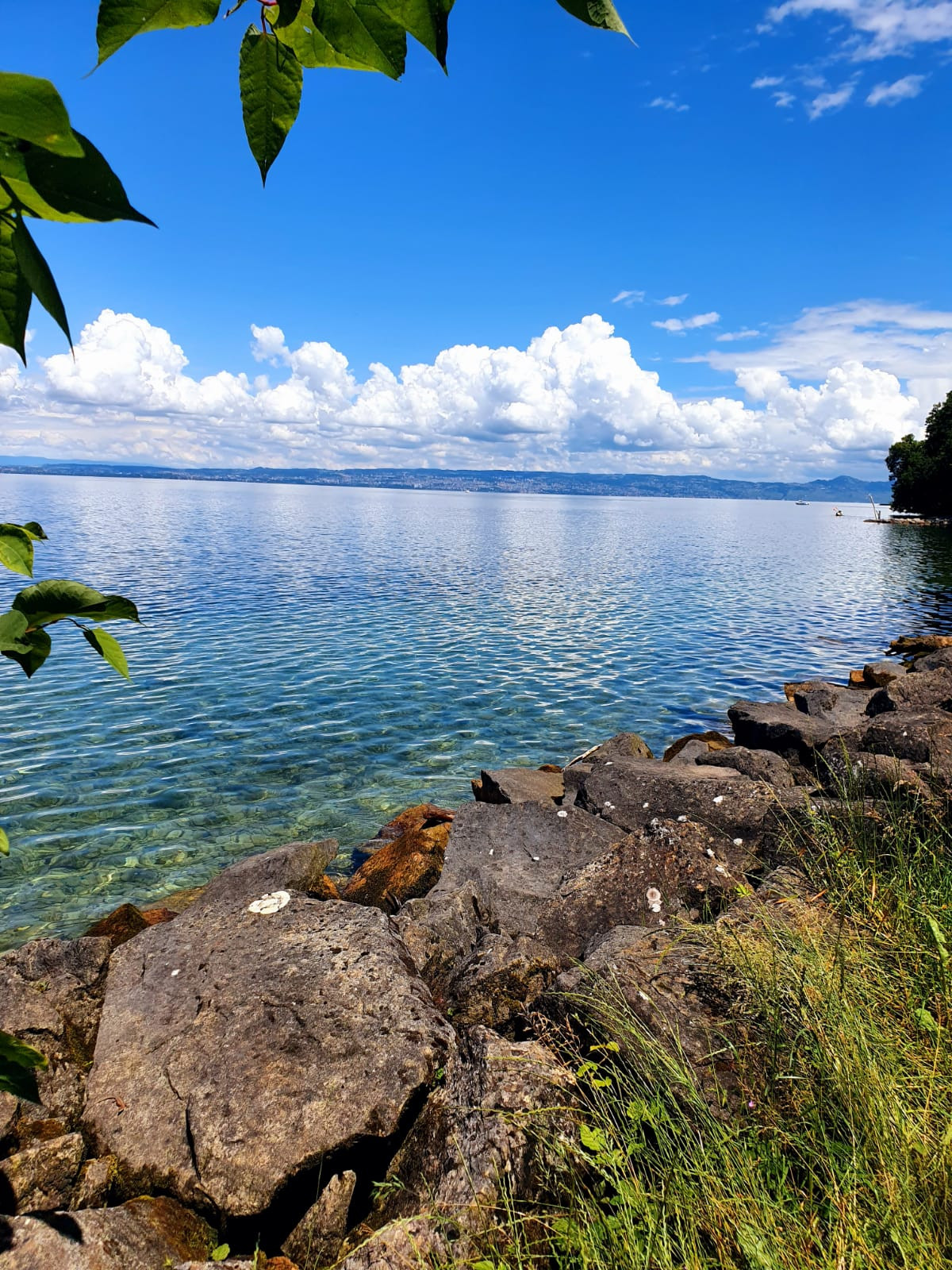 Réservez vos activités au bord du lac Léman et Portes du Soleil